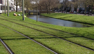 Rotterdam's visionary flood and water management infrastructure - Blue ...