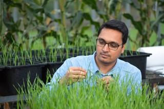 Meet the Beacon: Dr Rahul Bhosale - Food Systems Institute