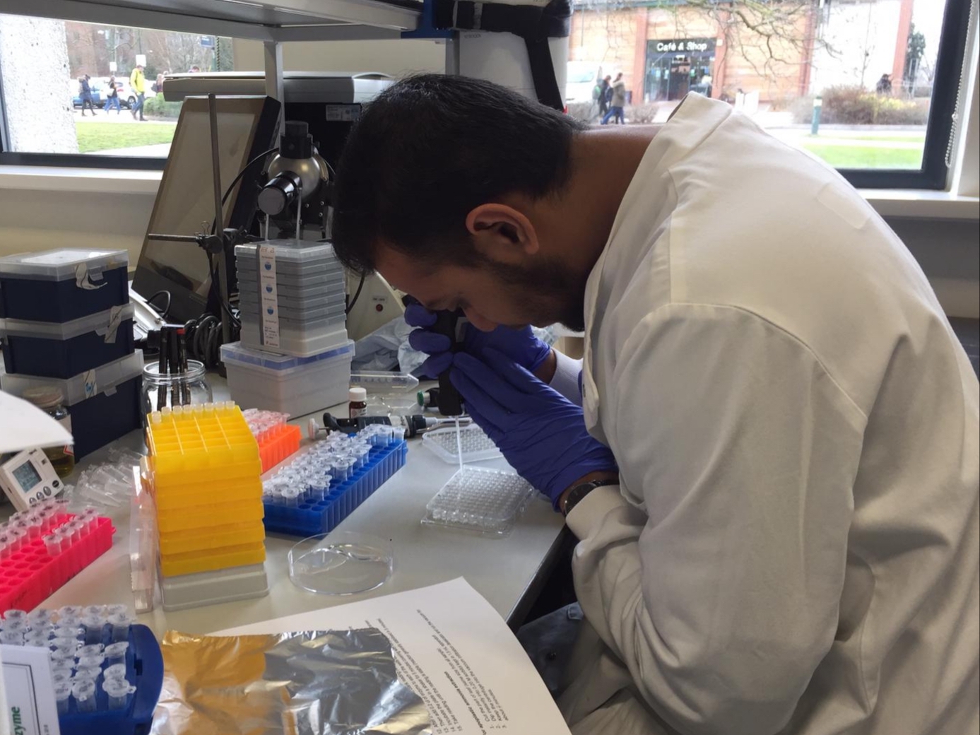 Breeding rice for higher temperatures: an interview with Tanvir Ahammed ...