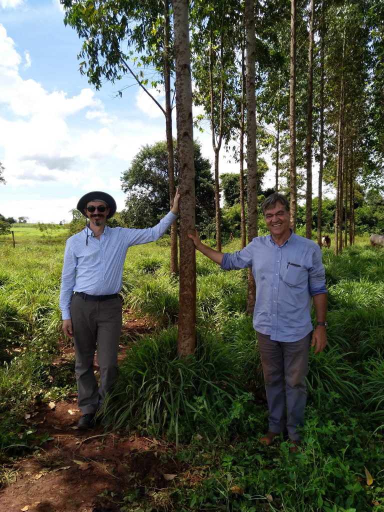 Collaborations with Embrapa to research Brazilian agricultural ...