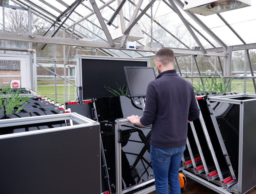 The growing power of the rhizotrons! - An interview with Dr Jonathan ...