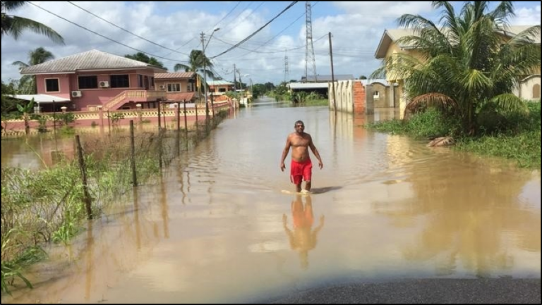 The Potential of Carbon Storage in the Forest Formation, Trinidad ...