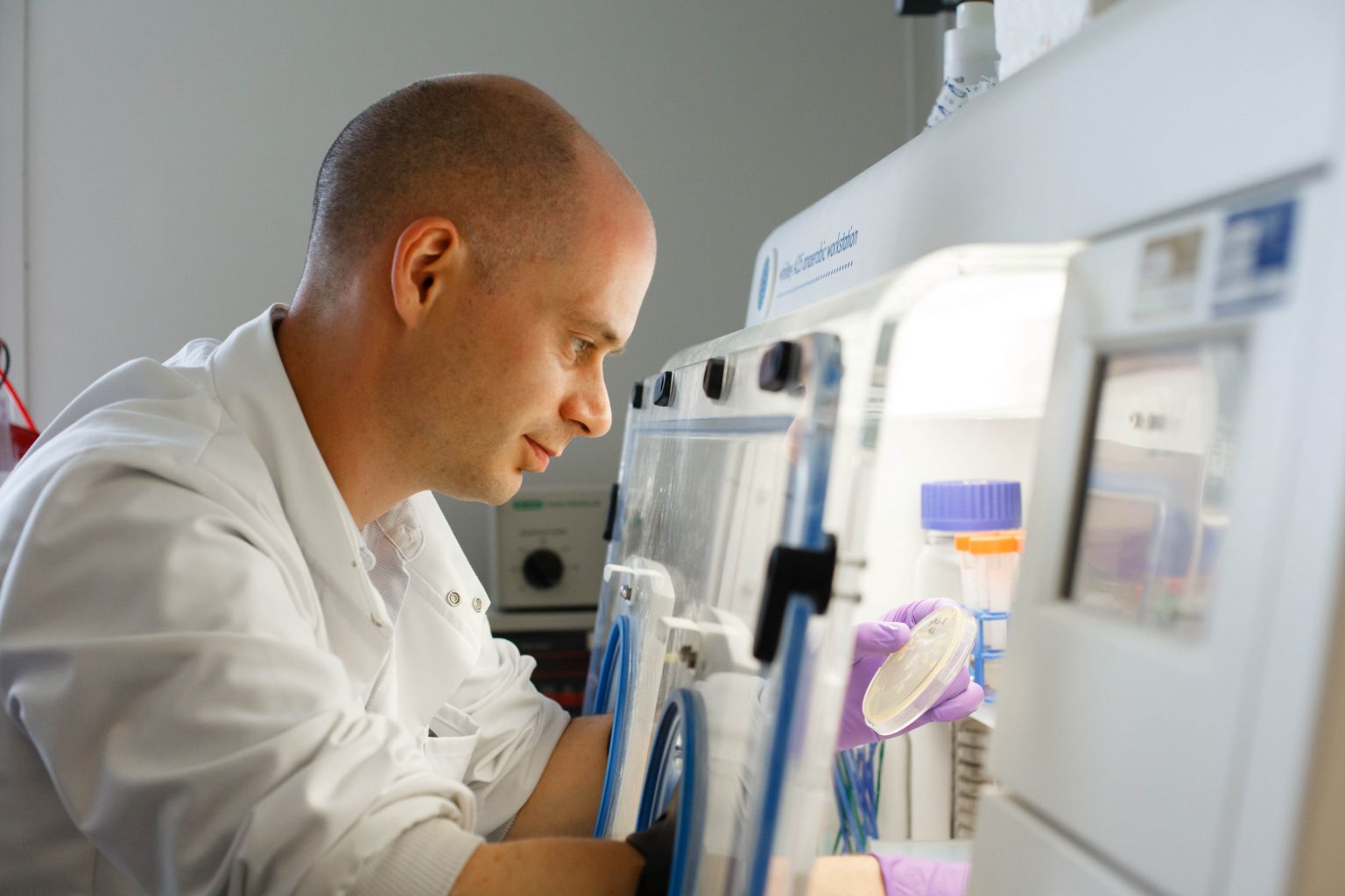 A shock to the system: how biotech is using nature to tackle climate ...