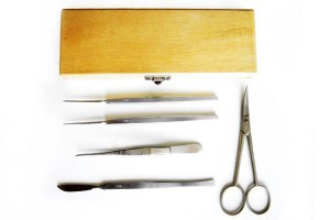 Full body dissection - School of Medicine Blog