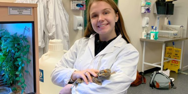 School of Veterinary Medicine and Science - A University of Nottingham blog